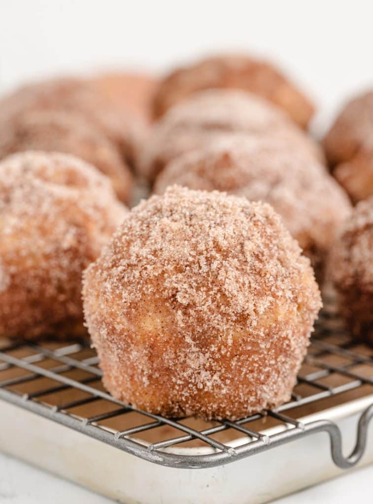 55+ Ultimate Thanksgiving Day Recipes