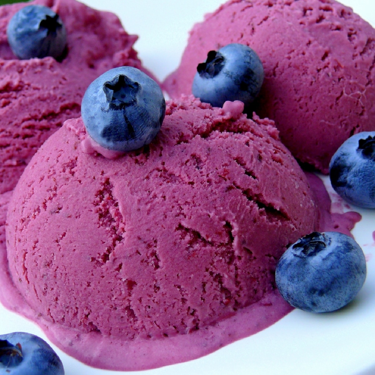 Blueberry-Sour Cream Ice Cream - Noble Pig