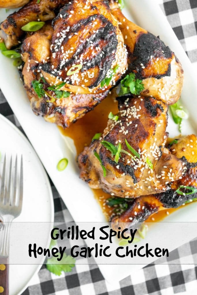 Grilled Spicy Honey Garlic Chicken