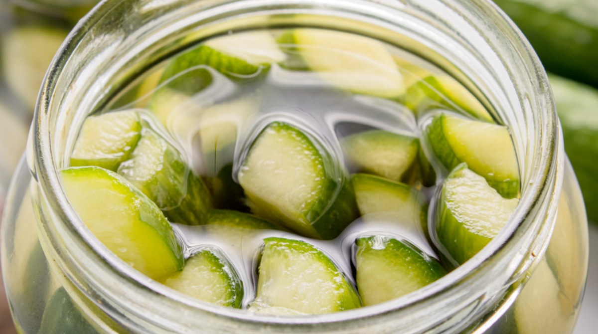Easy Homemade Dill Pickles (Quick Refrigerator Recipe) | Noble Pig