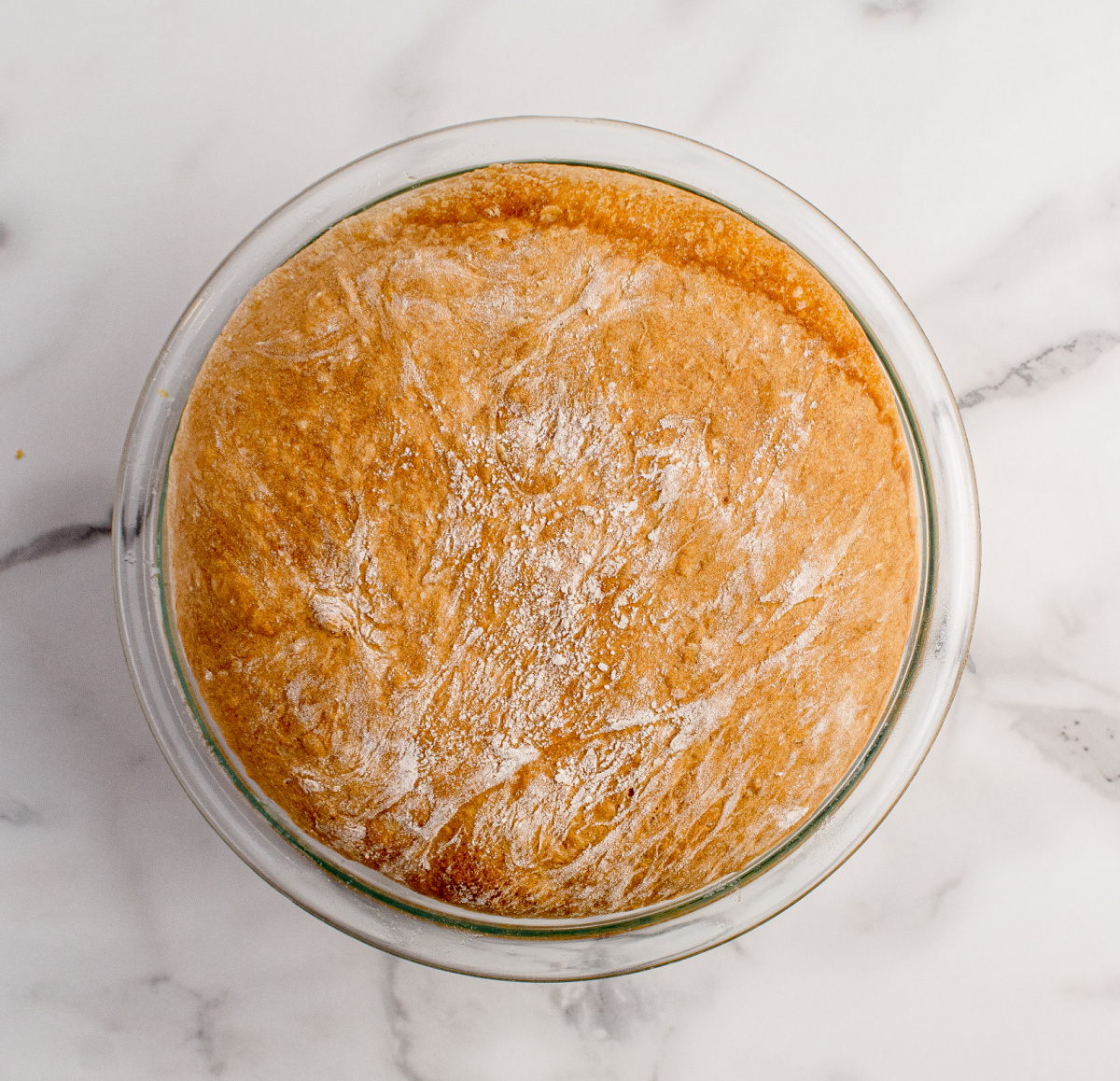 No-Knead Peasant Bread Baked in a Pyrex Bowl | Noble Pig